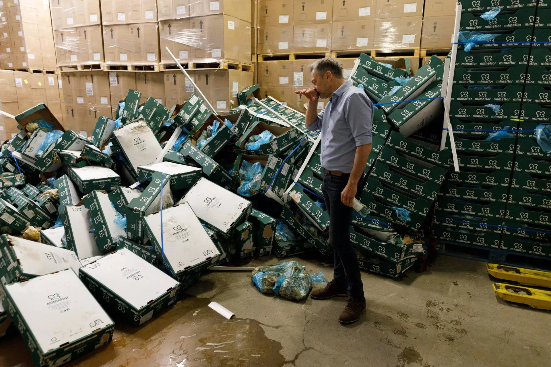 Prezes Maga Foods: Nie jesteśmy powiązani z rosyjskim kapitałem i nasze ...