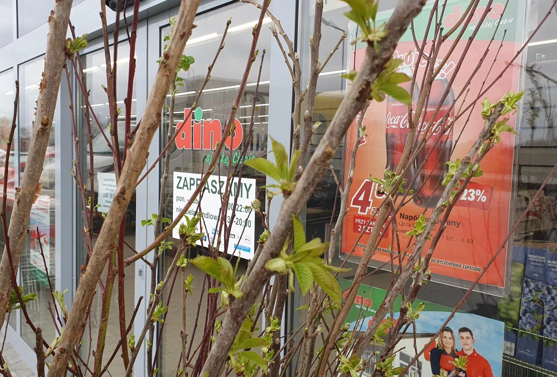 Dino ma już 2210 sklepów. Pierwszy kwartał intensywny dla sieci handlowej